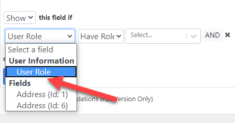 Show fields only to specific roles - All in One Forms